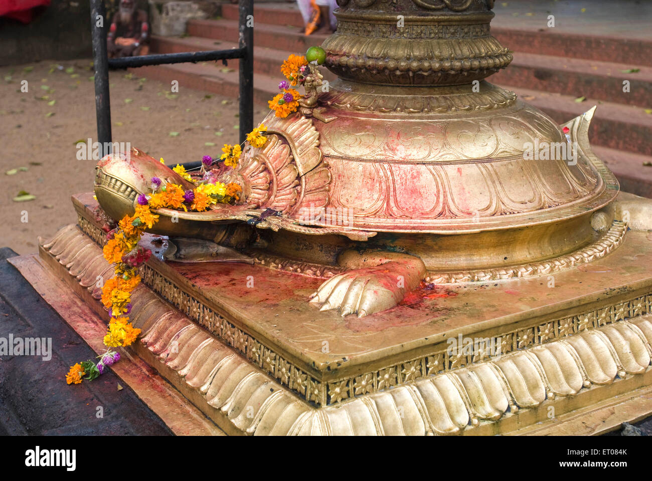 Tortoise flag mast base hi-res stock photography and images - Alamy