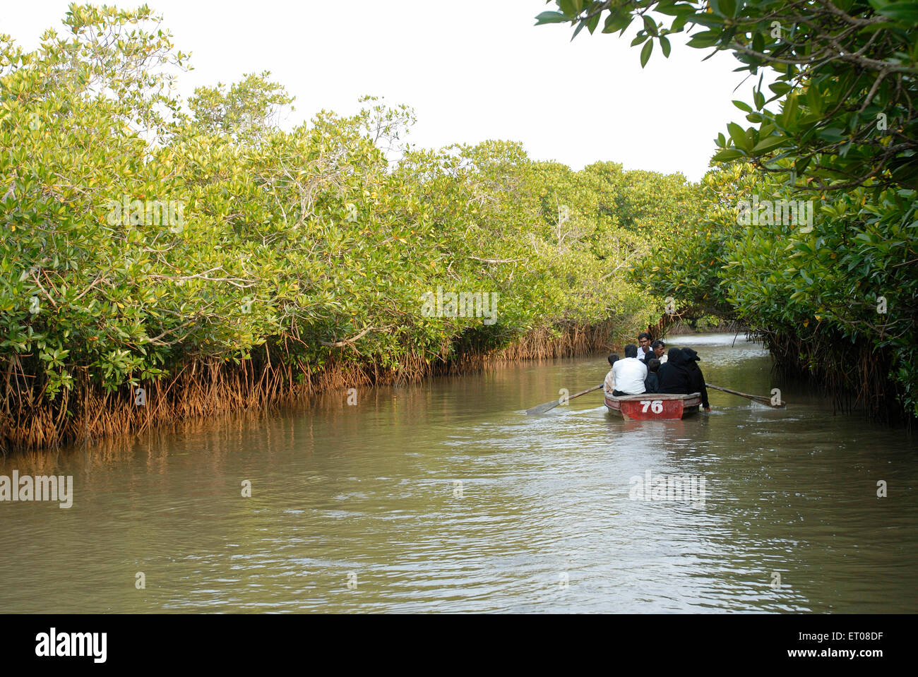 People travelling through boats in backwater near Pichavaram mangrove ... People travelling through boats in backwater near Pichavaram mangrove ...