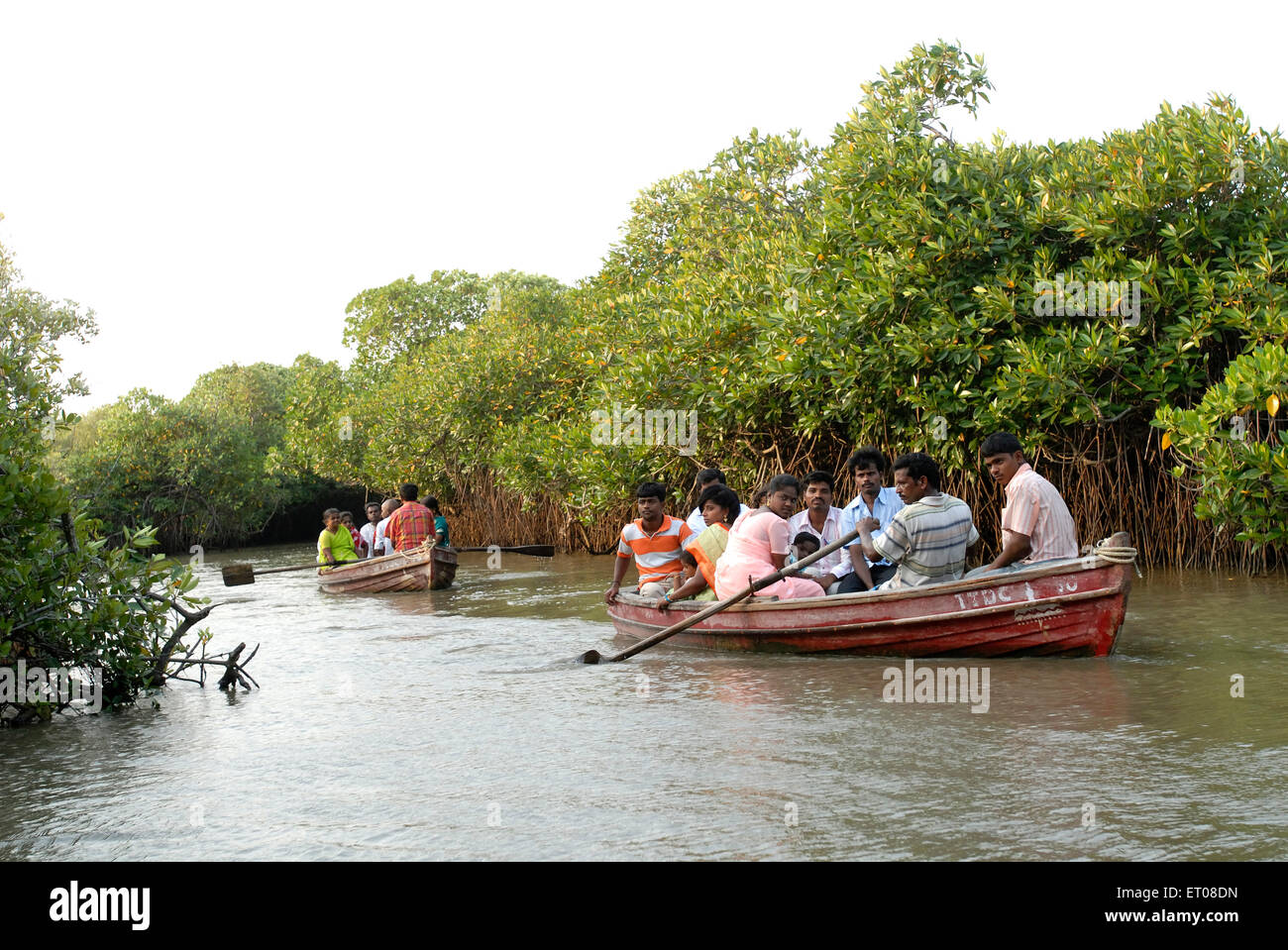 People travelling through boats in backwater near Pichavaram mangrove ... People travelling through boats in backwater near Pichavaram mangrove ...