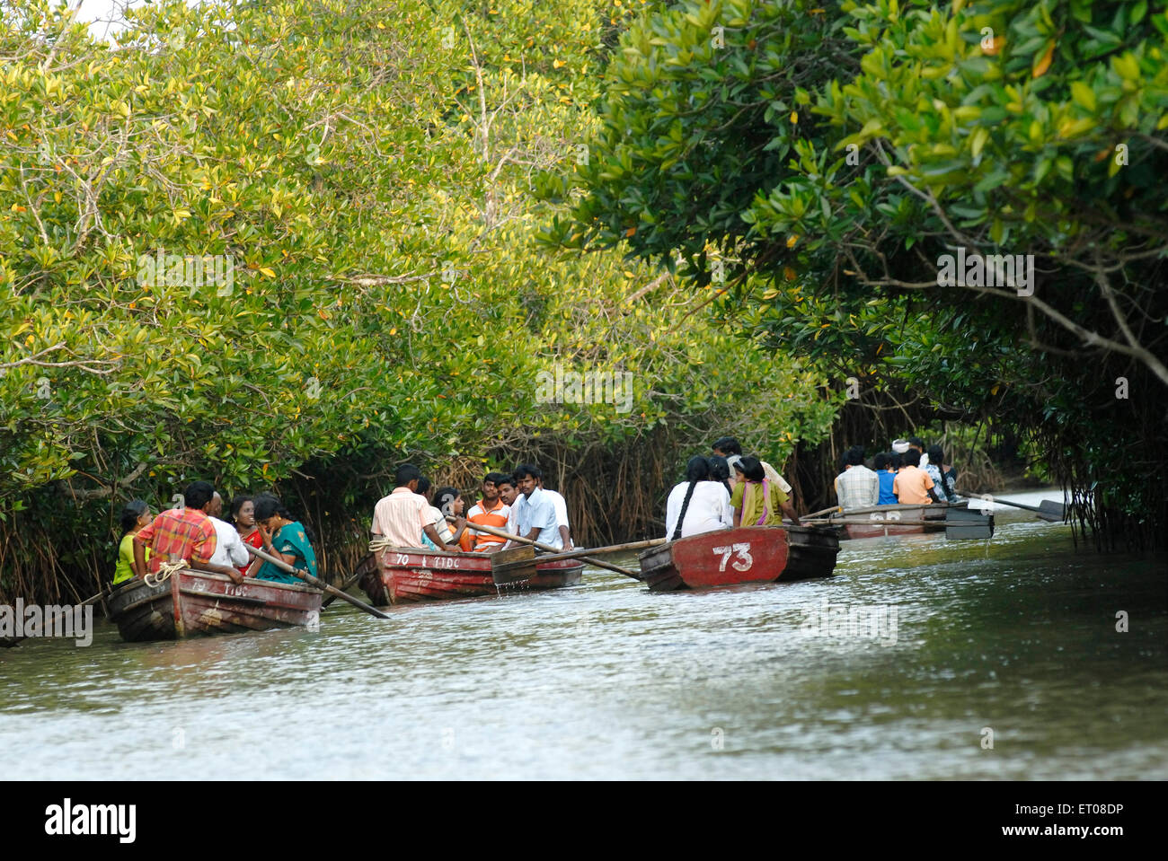 Pichavaram mangrove forest hi-res stock photography and images - Alamy Pichavaram mangrove forest hi-res stock photography and images - Alamy