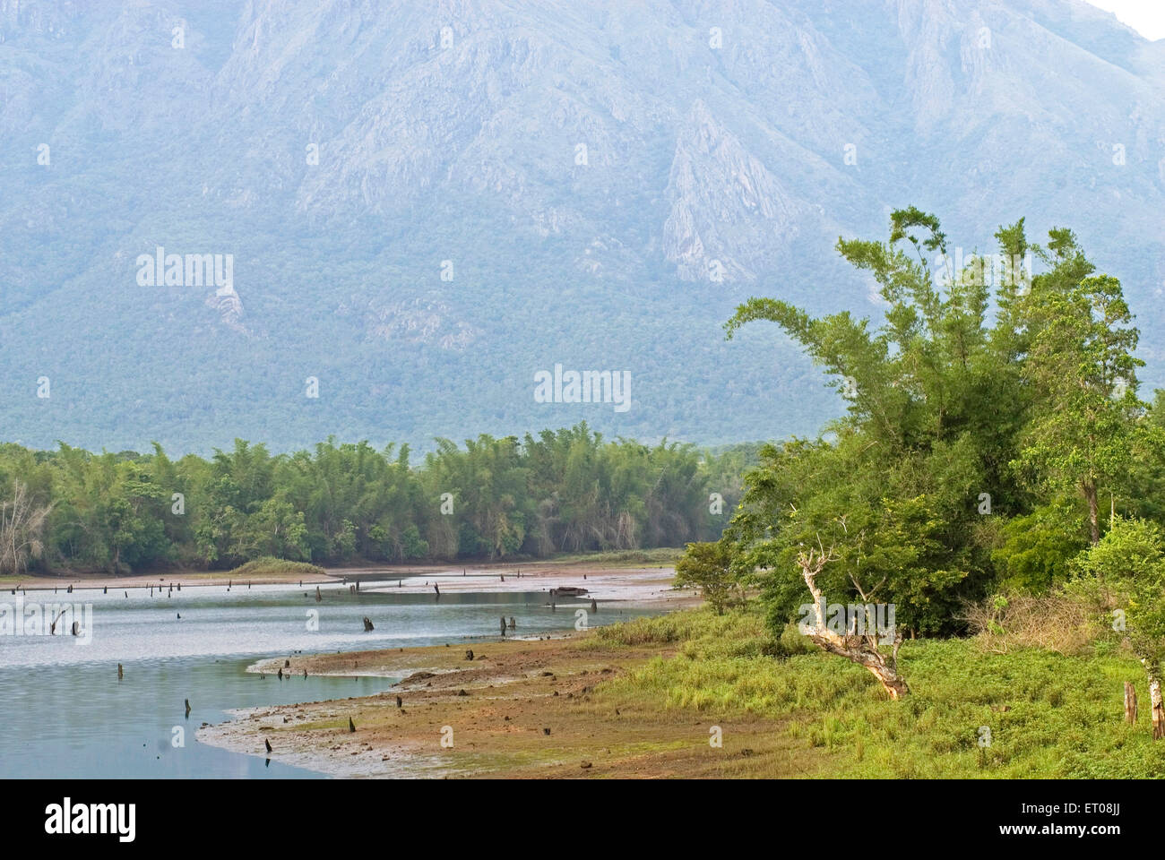 Pykara lake ; Udhagamandalam Ooty ; Tamil Nadu ; India Stock Photo - Alamy