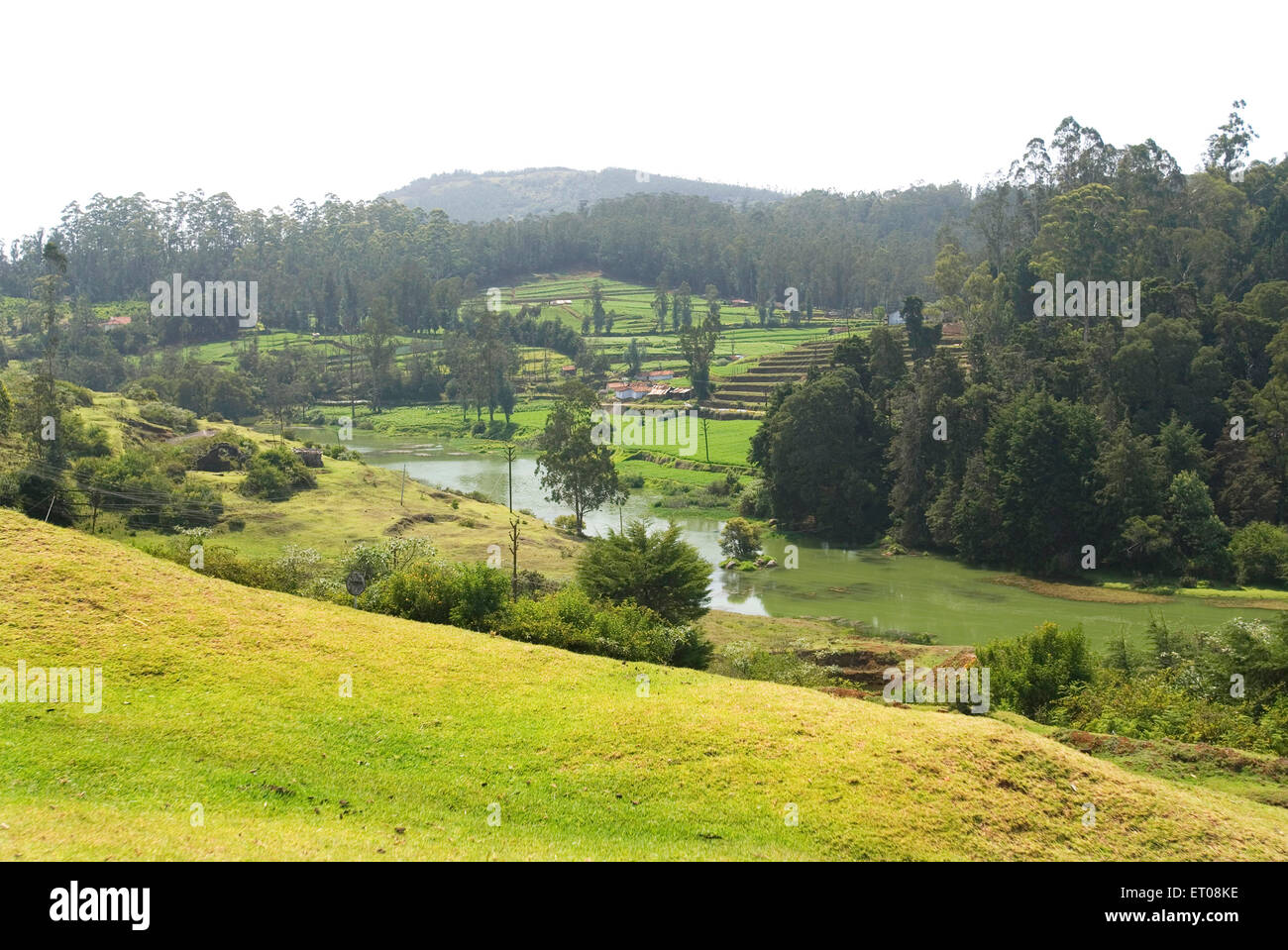 Pykara river , Pykara , Ooty , Udhagamandalam , Hill Station , Nilgiris ...