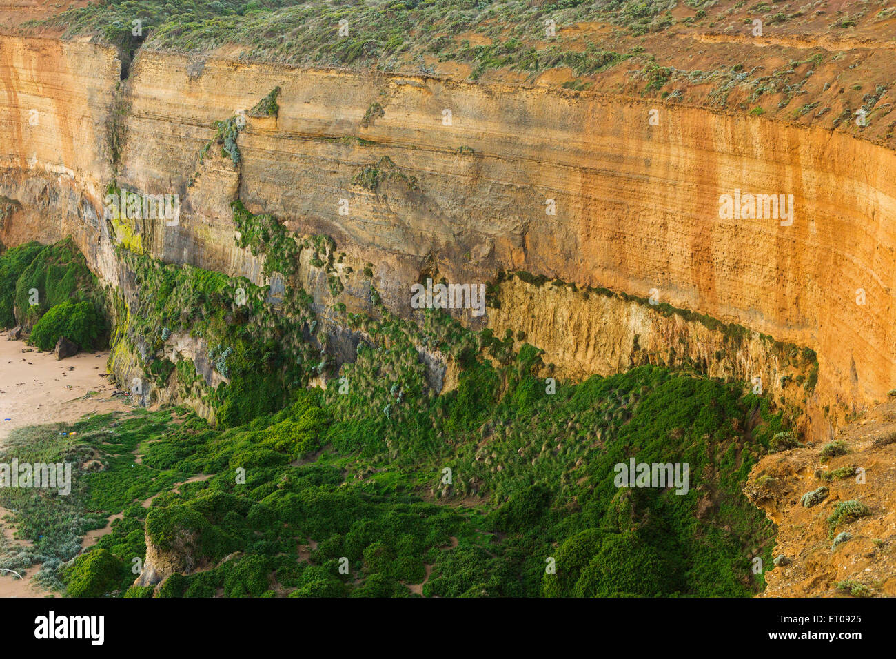 Steep sandstone cliffs along the Great Ocean Road, Victoria, Australia ...