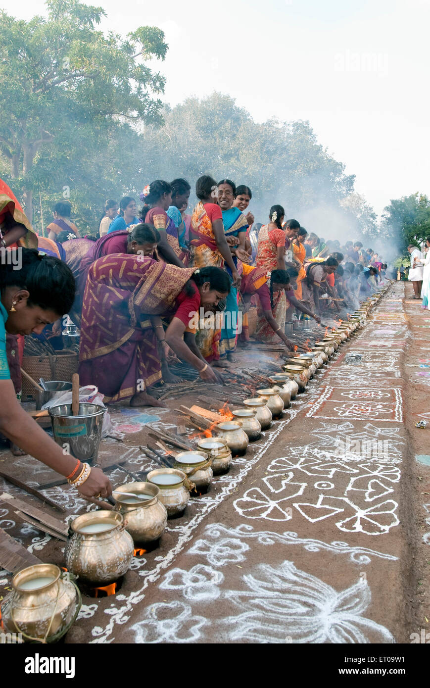 Women celebrating Pongal festival in Tamil Nadu ; India Stock Photo - Alamy