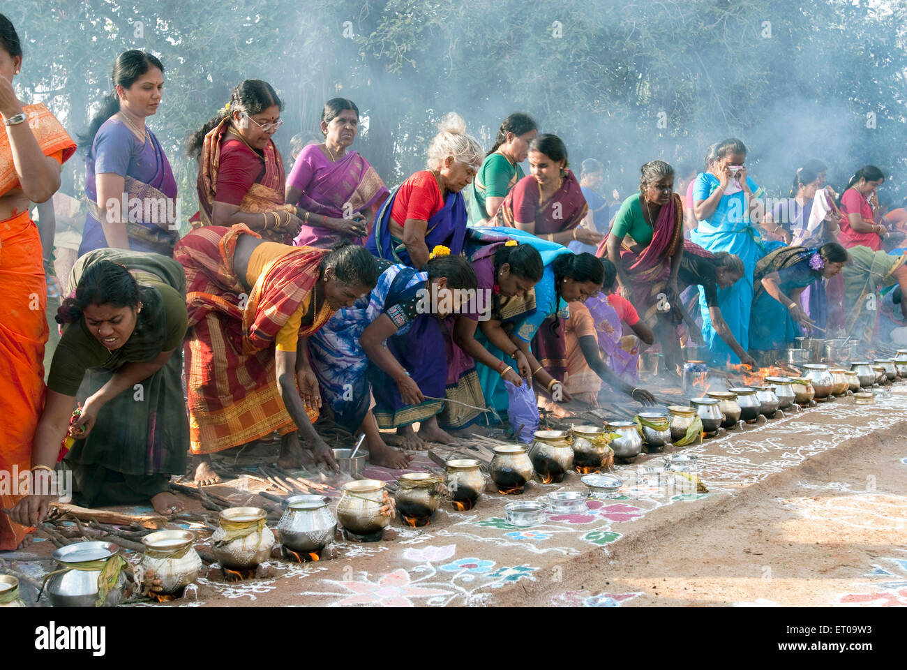 Women celebrating Pongal festival in Tamil Nadu ; India Stock Photo - Alamy