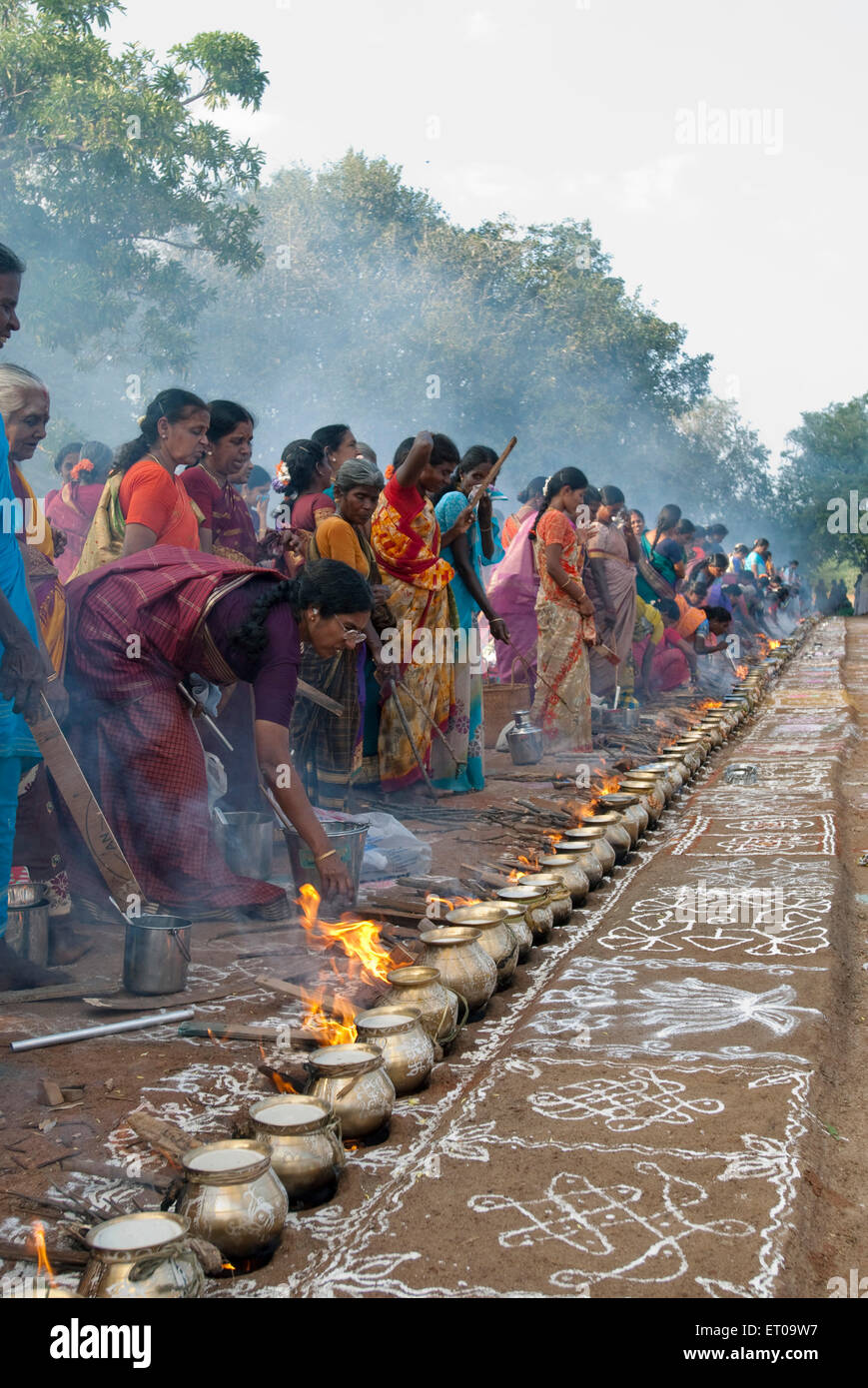 Women celebrating Pongal festival in Tamil Nadu ; India Stock Photo - Alamy