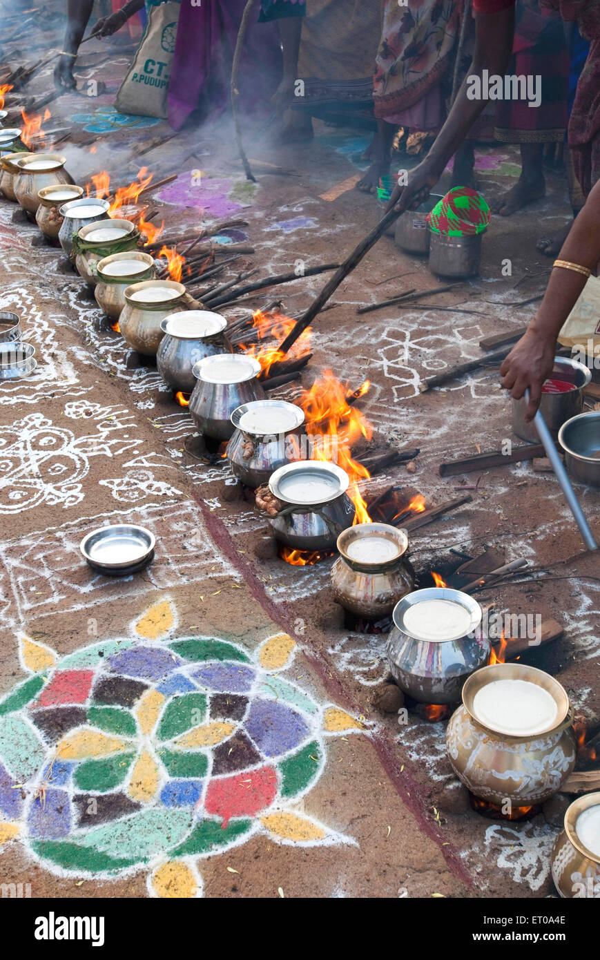 Women celebrating Pongal festival in Tamil Nadu ; India Stock Photo - Alamy