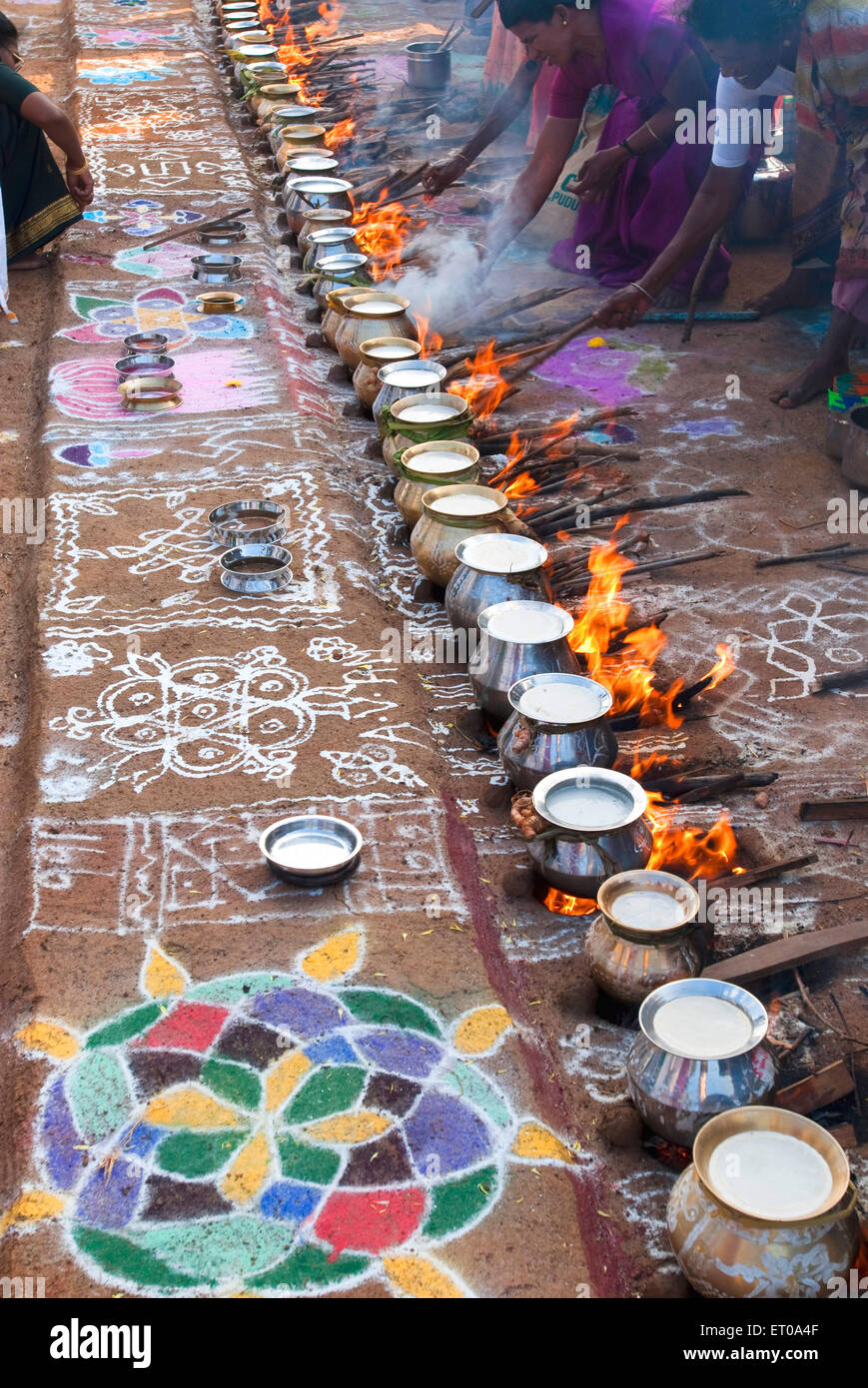 Pongal festival hi-res stock photography and images - Alamy
