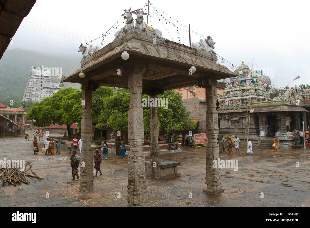 Thiruvannamalai temple hi-res stock photography and images - Alamy