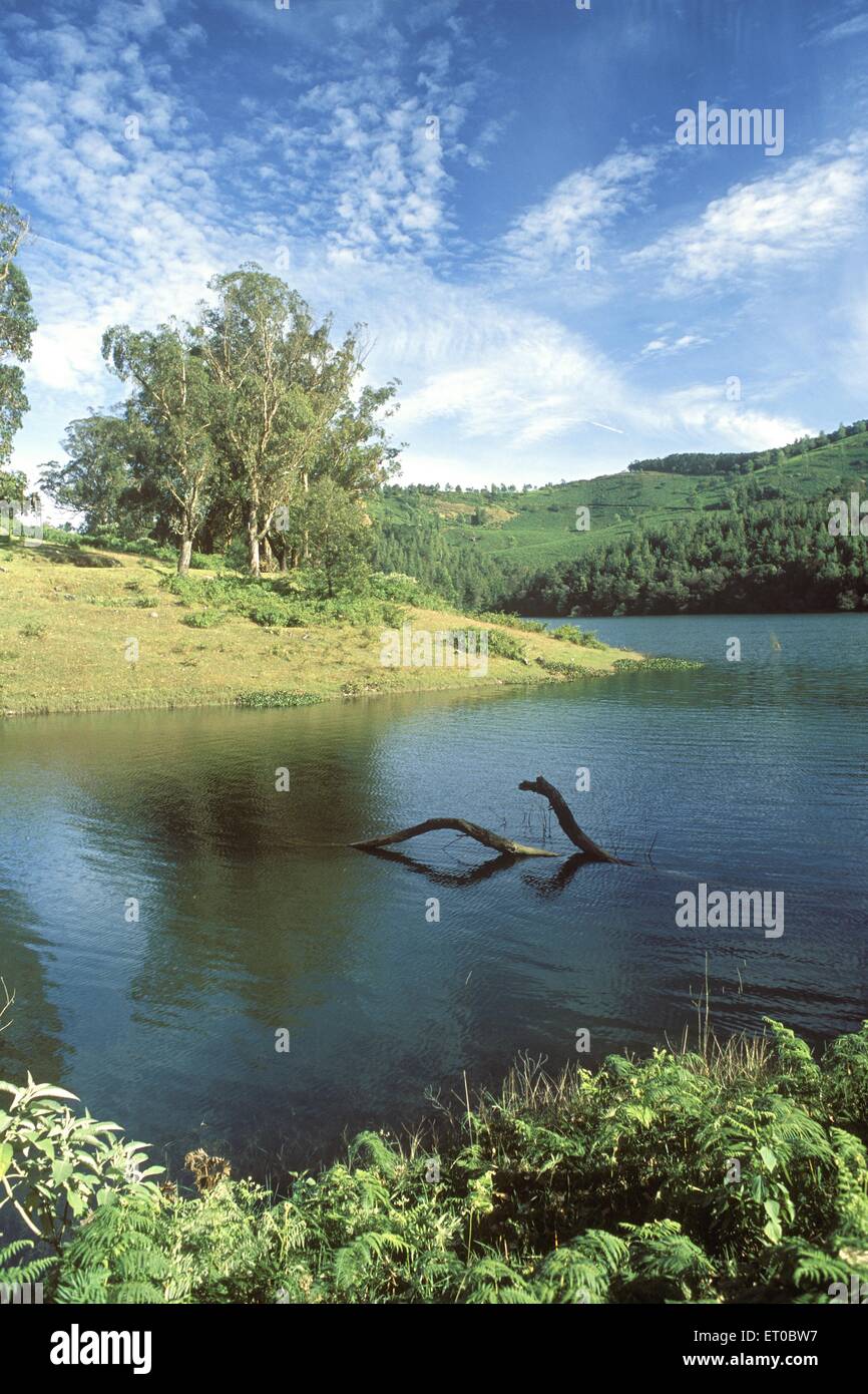 Glen Morgan lake, Glenmorgan Reservoir, Ooty, hill station, Ootacamund ...