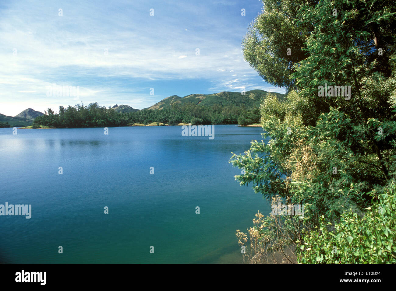 Mukurthi lake, Mukurthi National Park, Ooty, hill station, Ootacamund ...