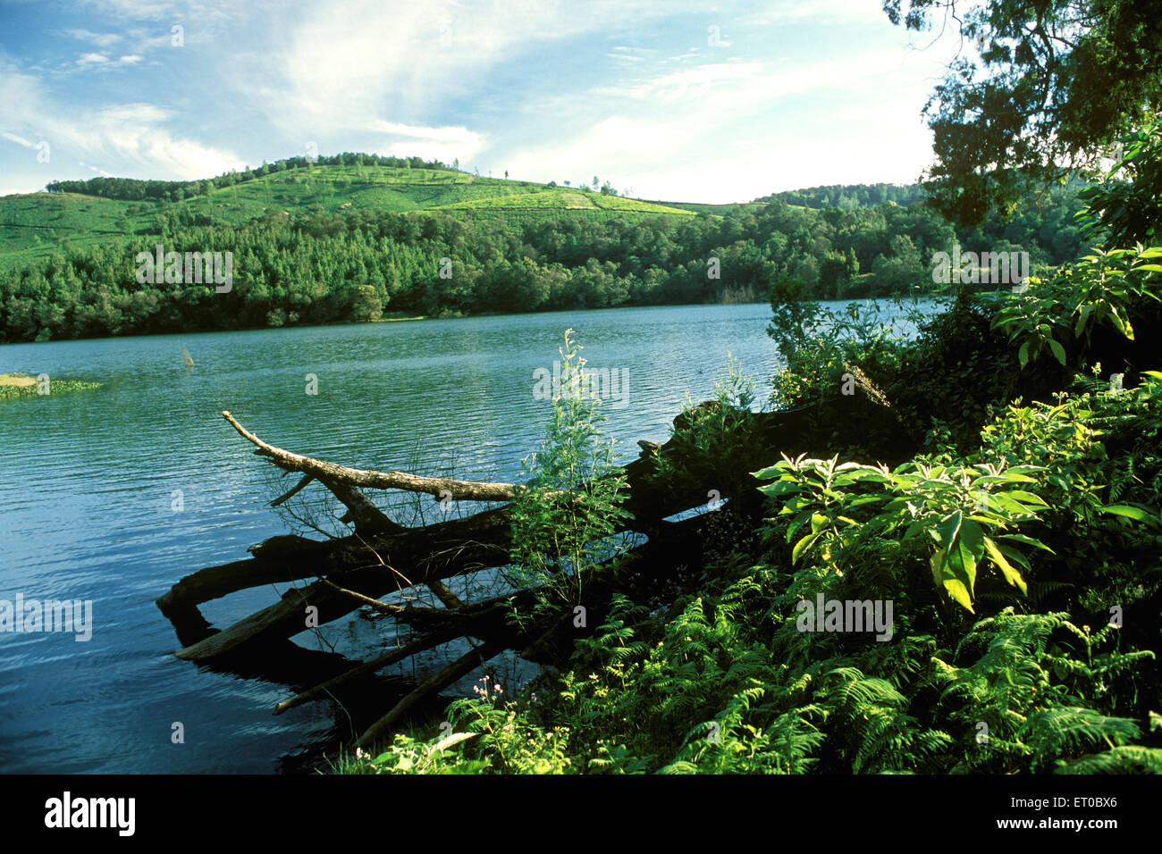 Glenmorgan reservoir hi-res stock photography and images - Alamy
