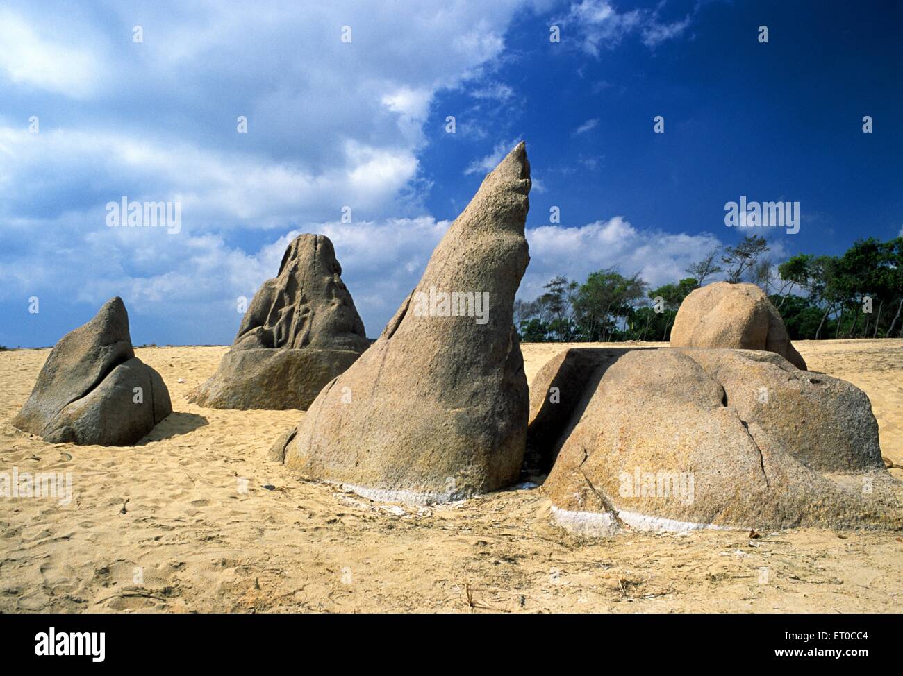 Rock carving unearthed by tsunami in Mahabalipuram Mamallapuram Tamil ...