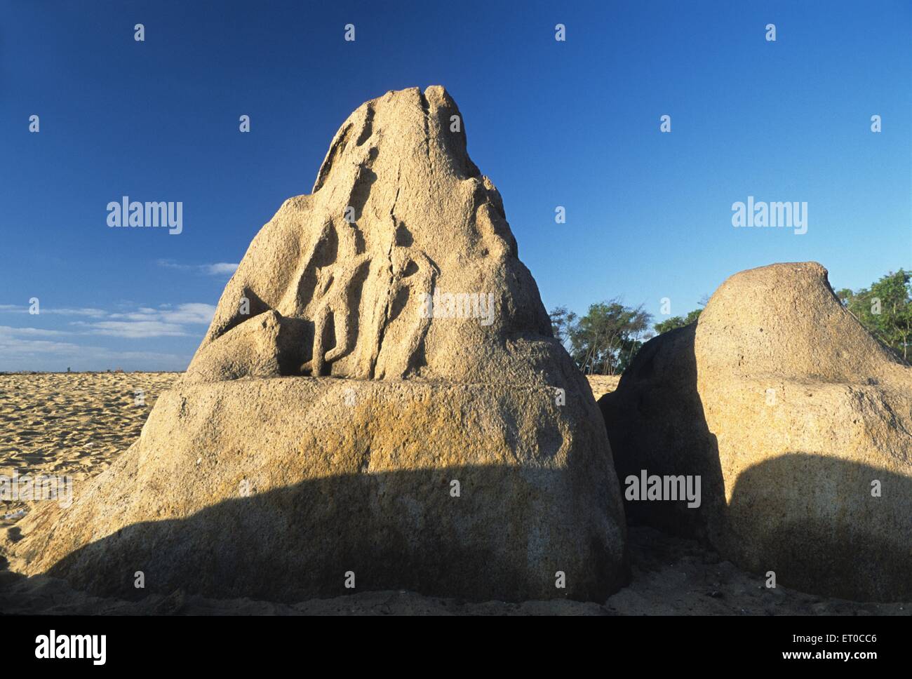 Rock carving unearthed by tsunami ; Mahabalipuram Mamallapuram ; Tamil ...