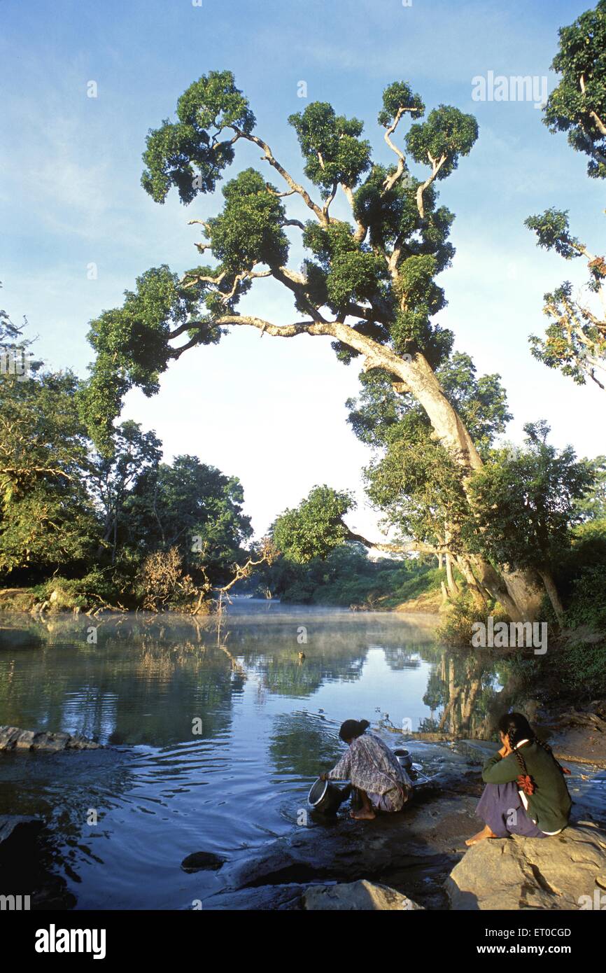 Moyar river in Mudumalai sanctuary ; Nilgiris ; Tamil Nadu ; India ...