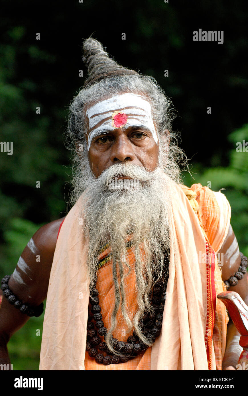 Indian priest sadhu hi-res stock photography and images - Alamy