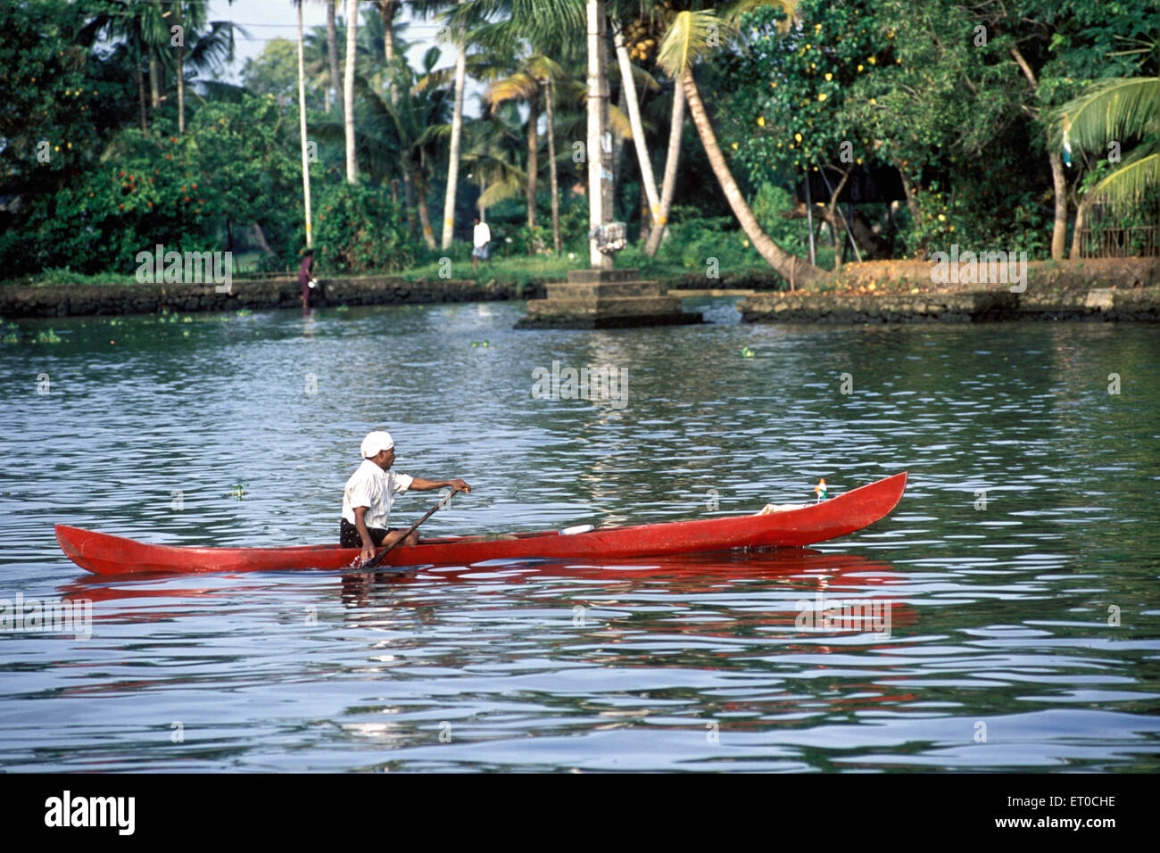 boating in backwaters , Kuttanad ; Alappuzha , Alleppey ; Kerala ...