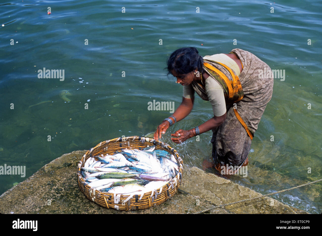Fish Basket High Resolution Stock Photography and Images - Alamy