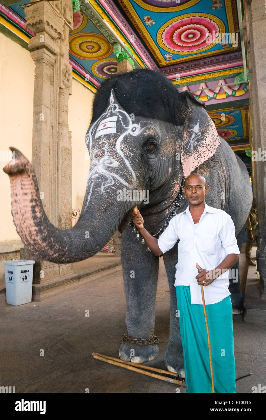Tamil nadu temple elephant hi-res stock photography and images - Alamy