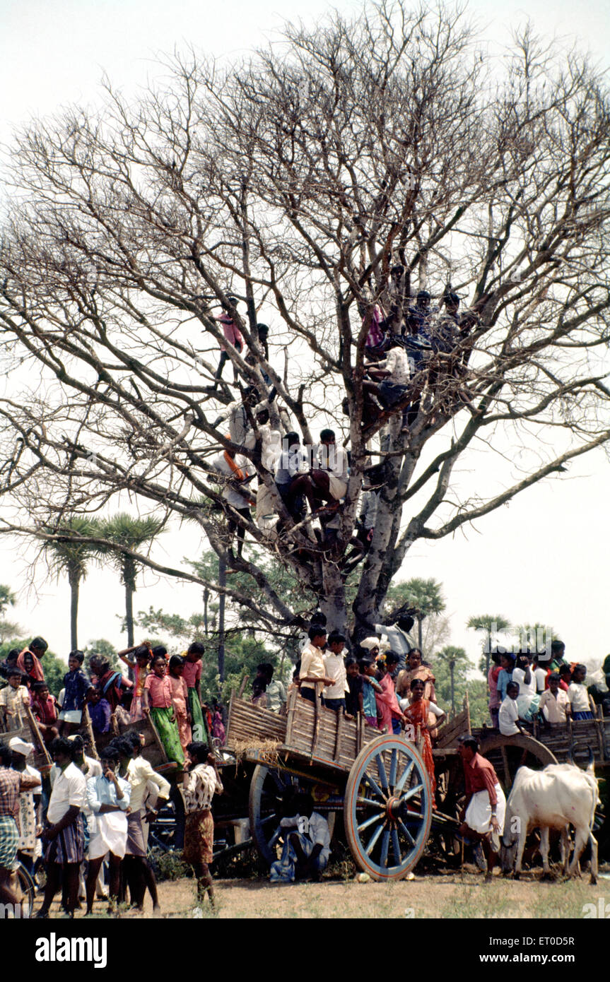 Bull cart india hi-res stock photography and images - Alamy