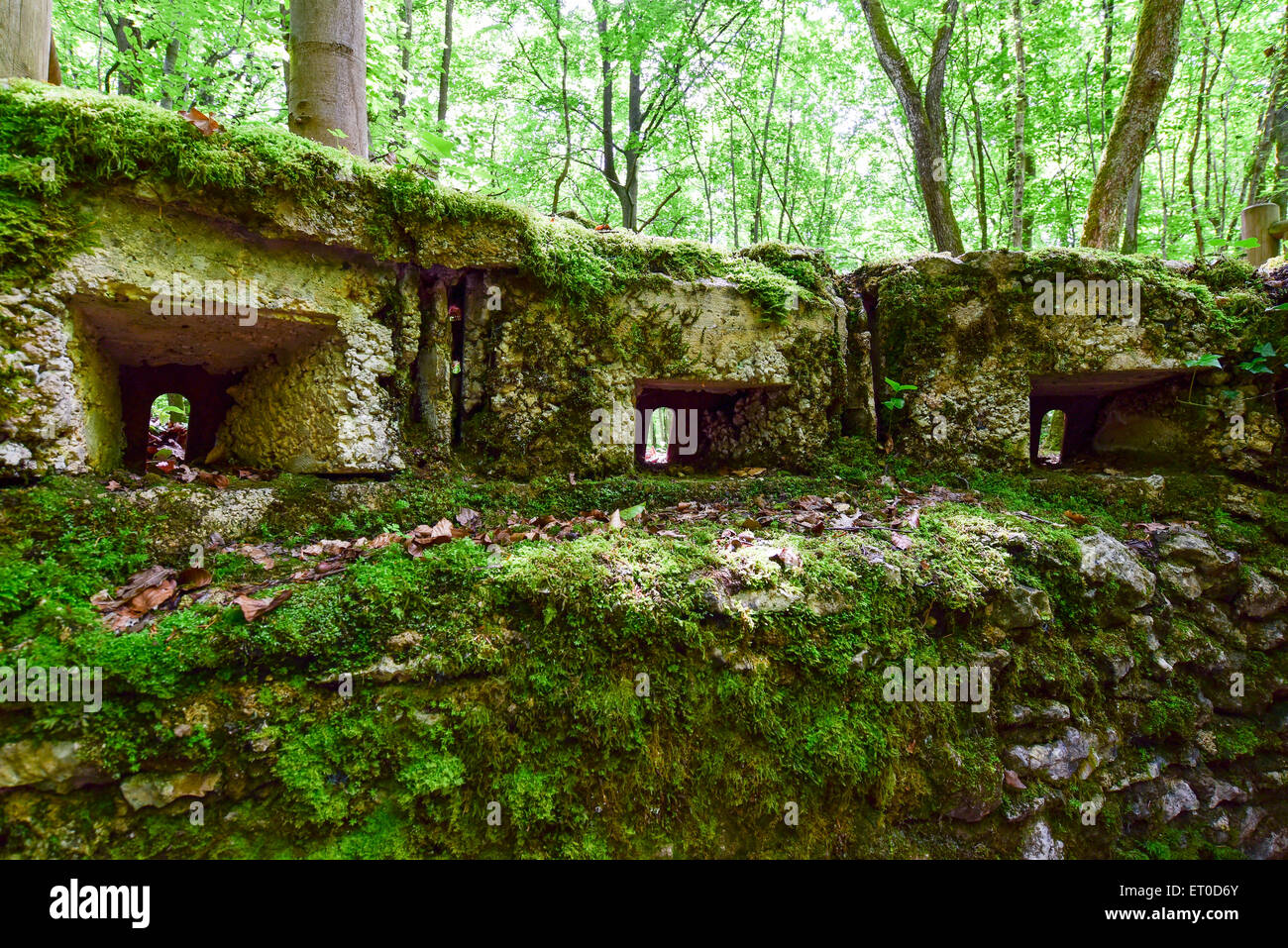 Original German trenches and dugouts from the First World war in the St ...