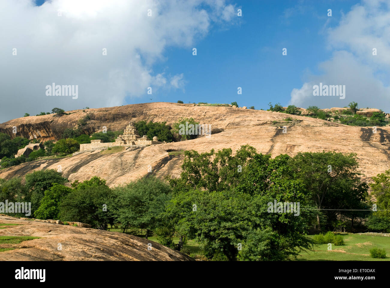 Vijayalayacholeswara temple at Narthamalai ; Tiruchirappalli ; Tamil ...