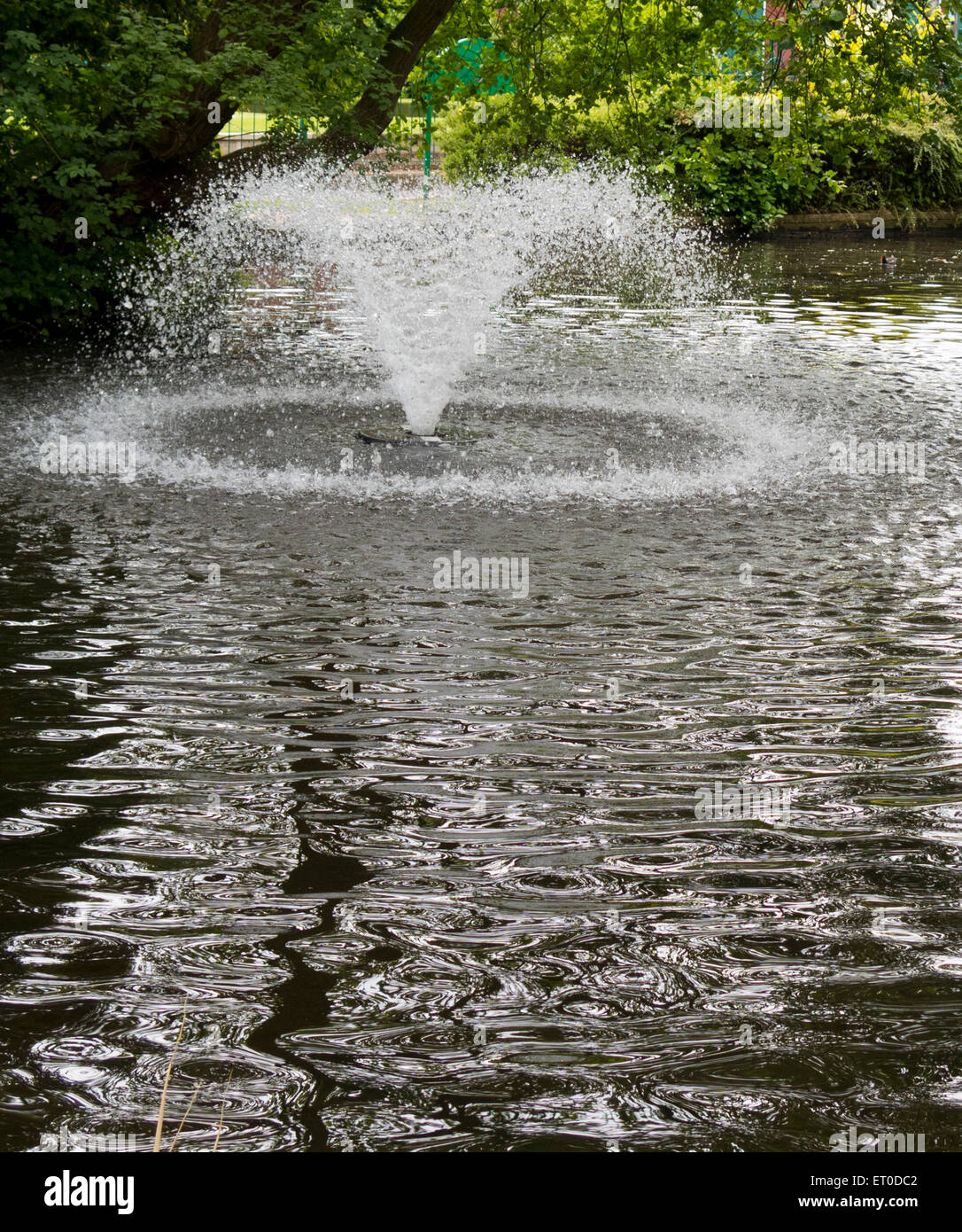 Fountain in an ornamental lake Stock Photo - Alamy