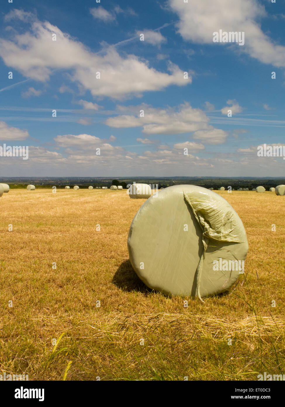 Baled hi-res stock photography and images - Alamy