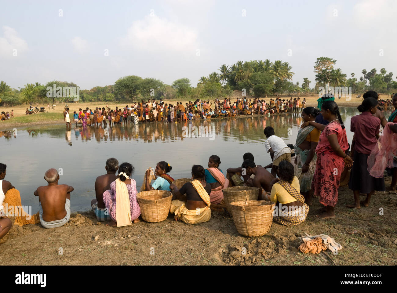 Fishing festival ; Ponnamaravathy ; Pudukkottai ; Tamil Nadu ; India ...