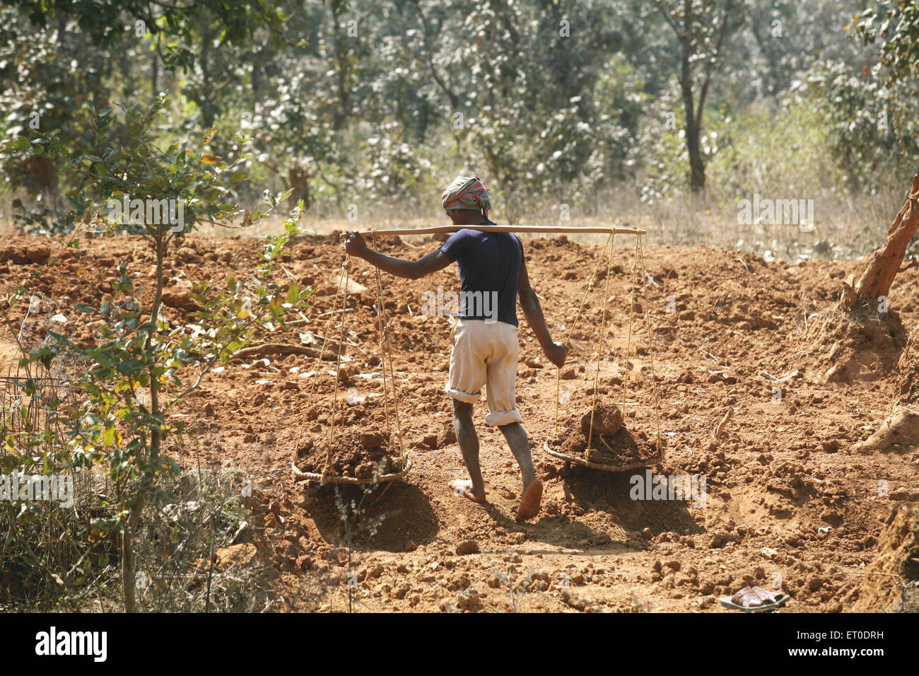Labourer carrying hi-res stock photography and images - Alamy