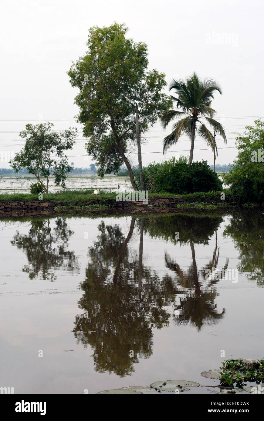 Kuttanad backwaters hi-res stock photography and images - Alamy