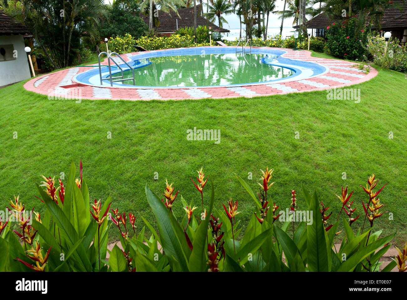 Swimming pool in heritage lake resort, Kuttanad, Alleppey, Alappuzha ...