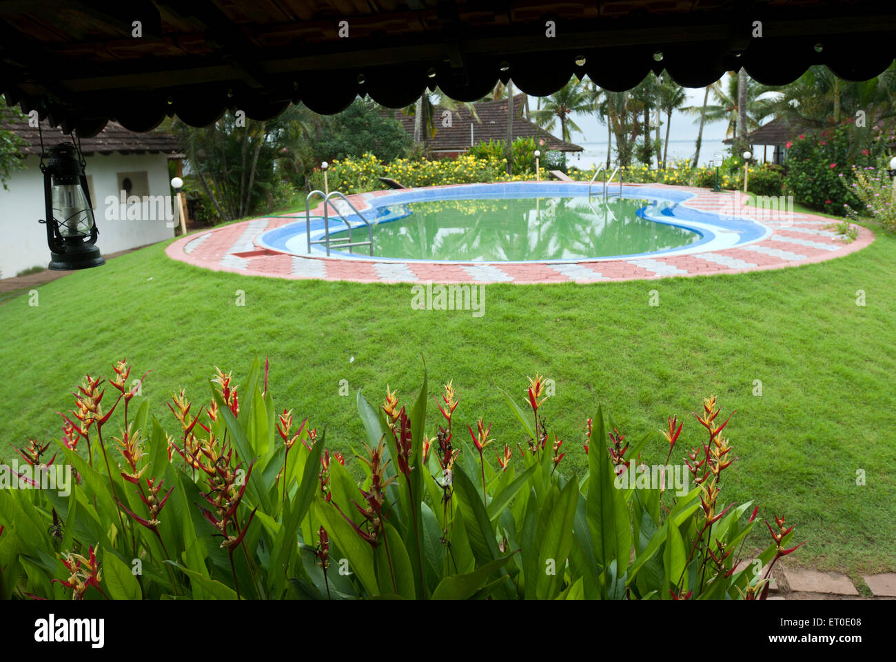 Indian swimming pool hi-res stock photography and images - Alamy