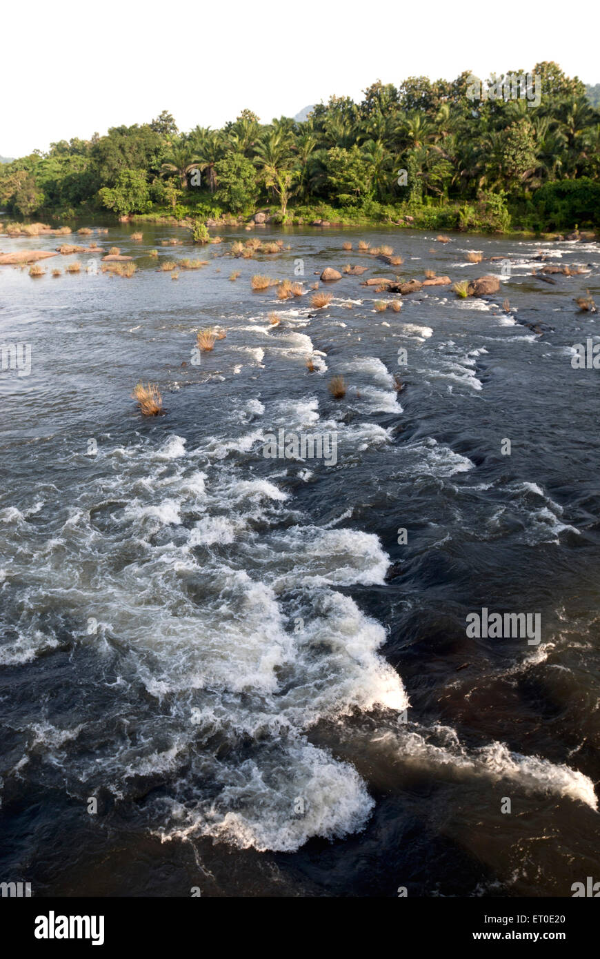 Chalakudy River, Chalakkudy River, Chalakkudi river, Chalakudy Puzha ...