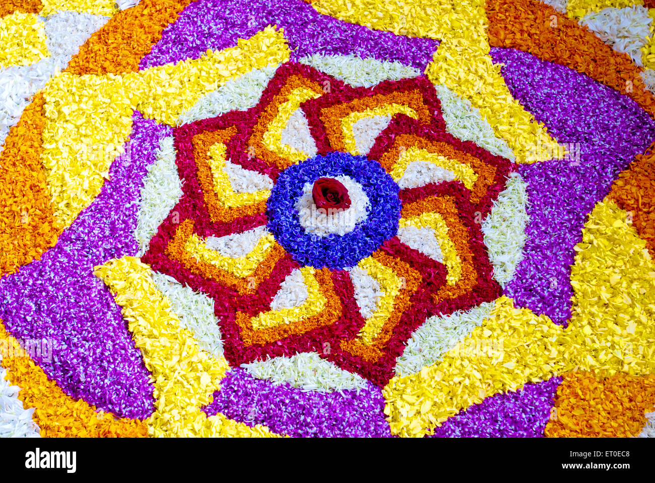 Flower decoration for onam festival ; Kerala ; India Stock Photo - Alamy