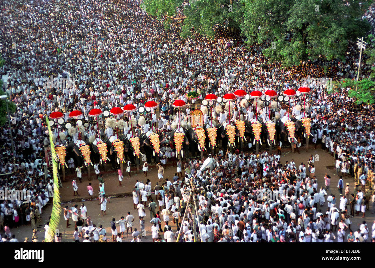 Thrissur pooram festival ; Thrissur ; Kerala ; India NOMR Stock Photo ...