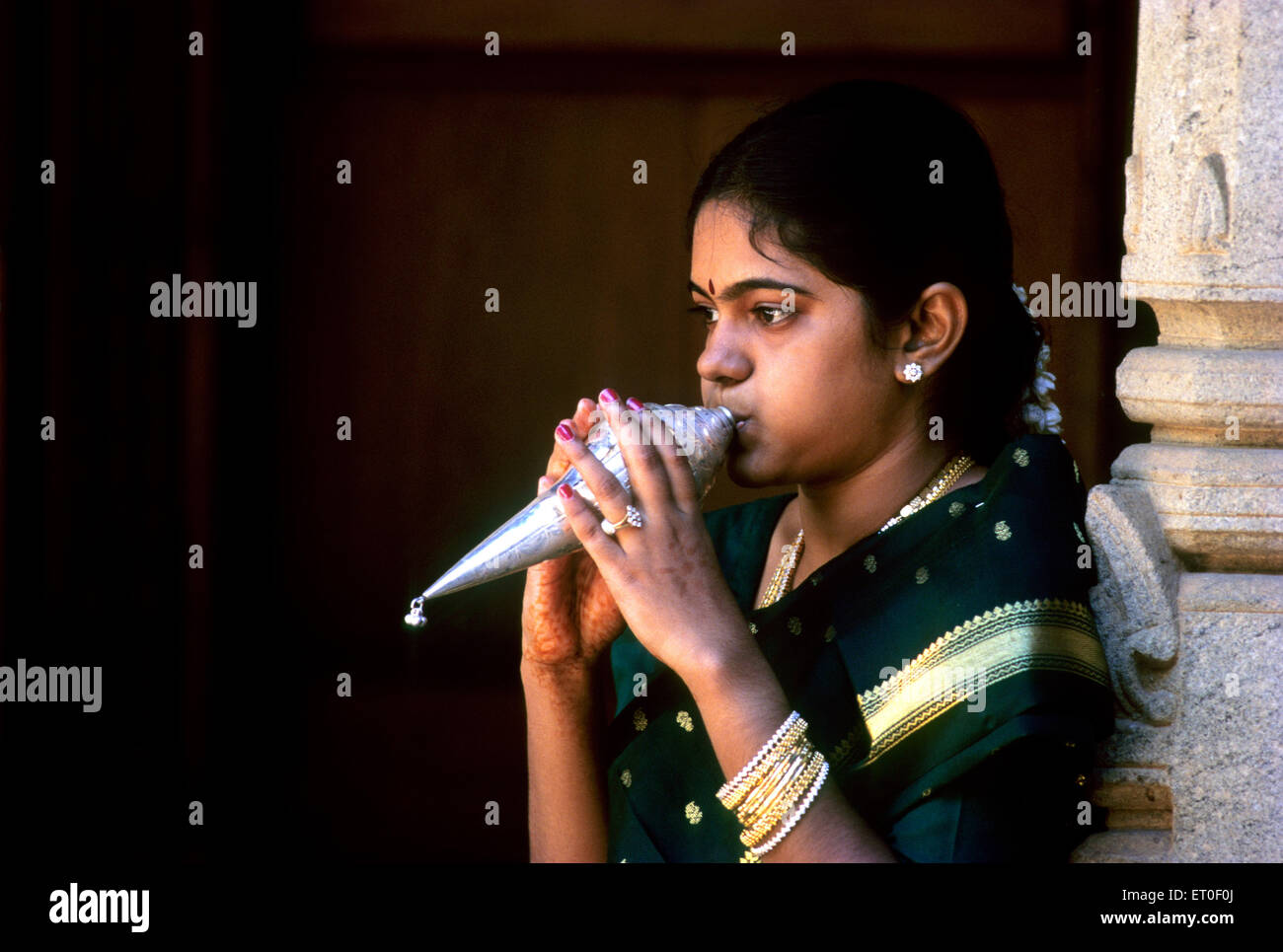 Conch Shell India High Resolution Stock Photography and Images - Alamy