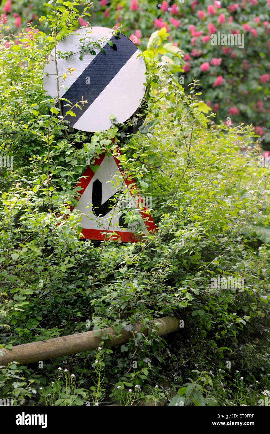 Loose Village, Kent, England, UK. Partially obscured traffic signs ...