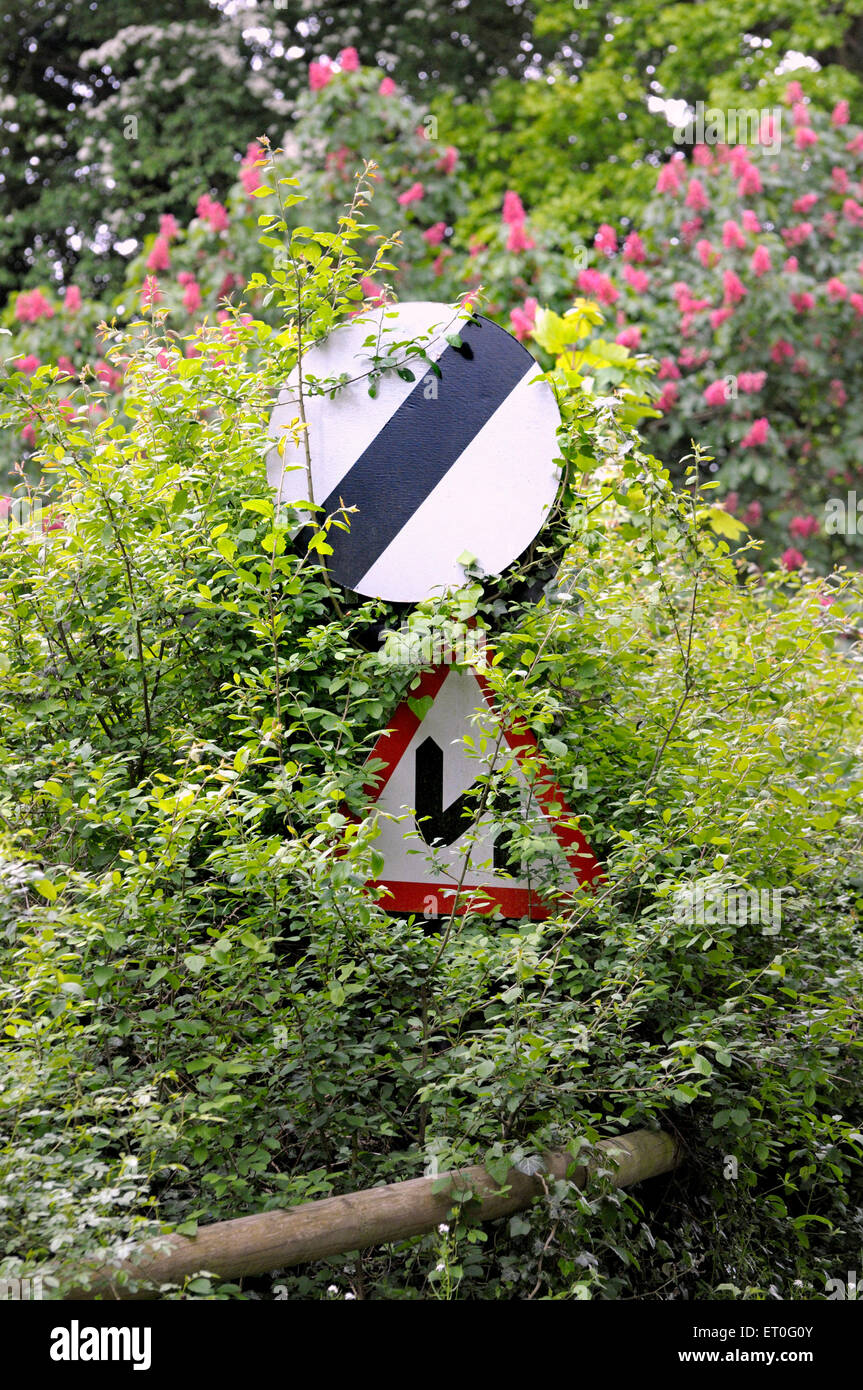 Loose Village, Kent, England, UK. Partially obscured traffic signs ...