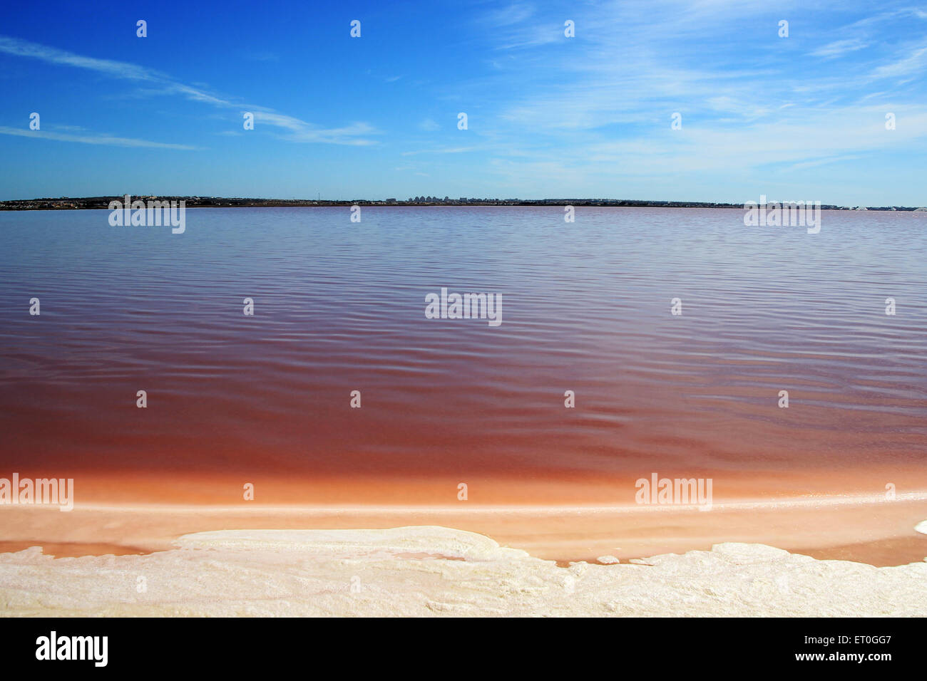 Torrevieja pink lake alicante hi-res stock photography and images - Alamy