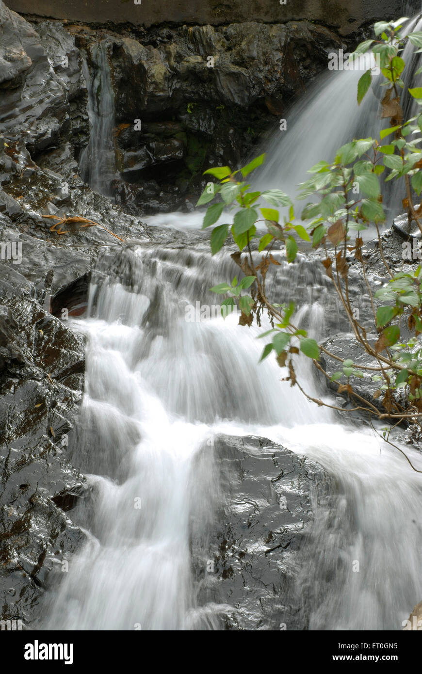 Attigudi waterfall , Baba Budangiri hills , Chikmagalur , Karnataka ...