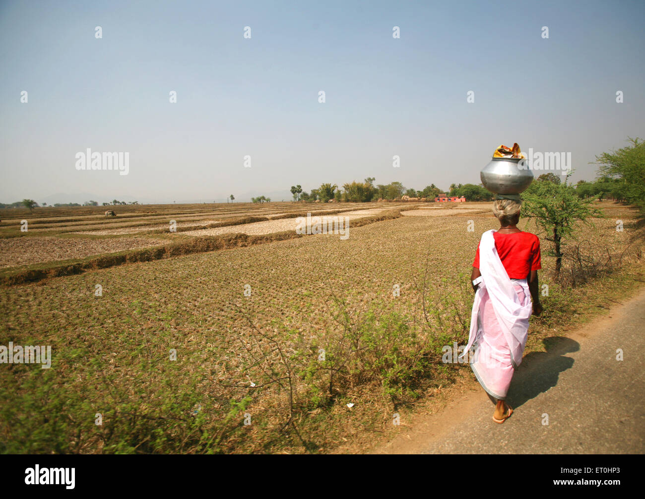 Indian woman carrying pot on head hi-res stock photography and images ...