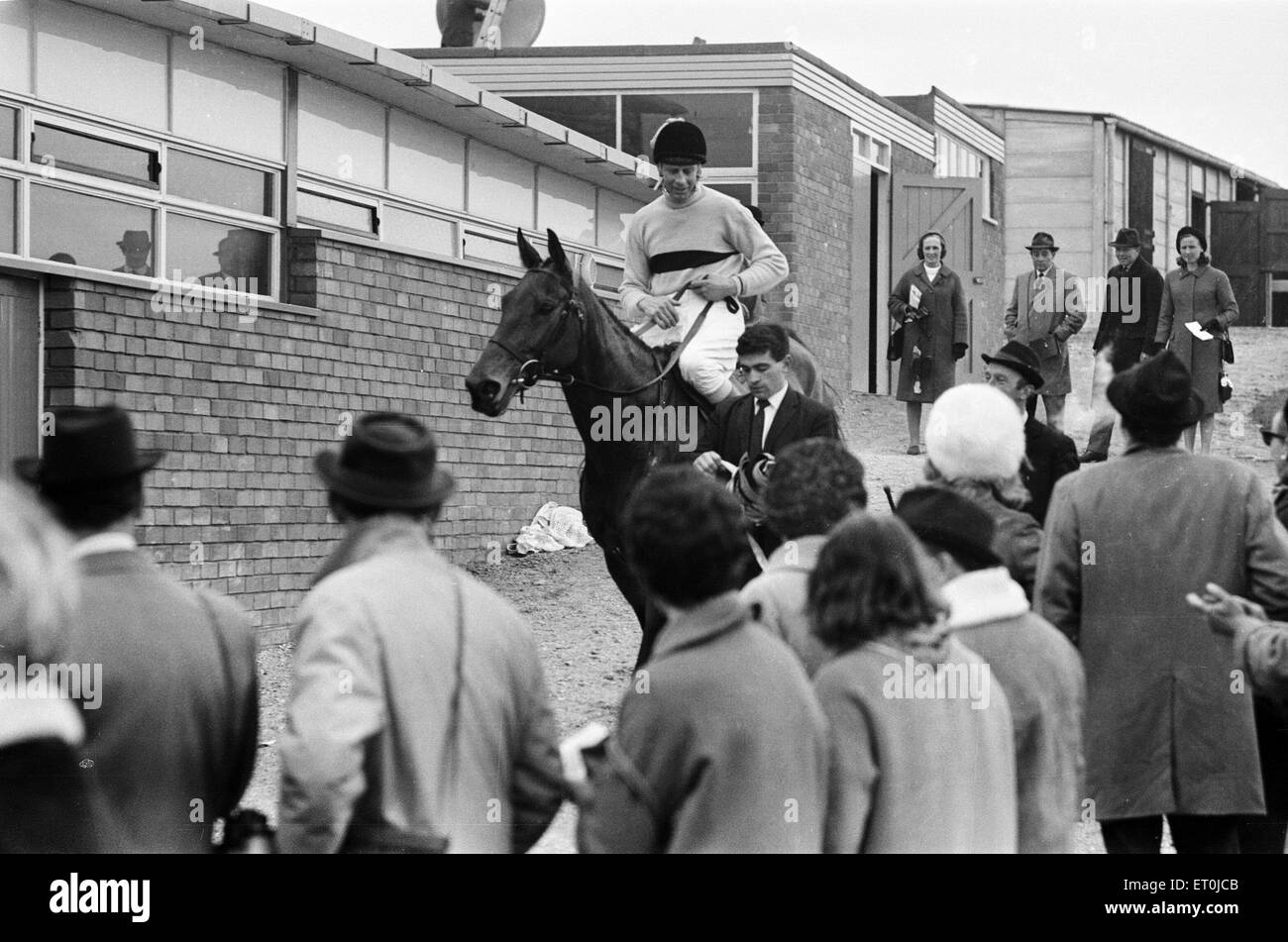 Arkle cheltenham gold cup hi-res stock photography and images - Alamy