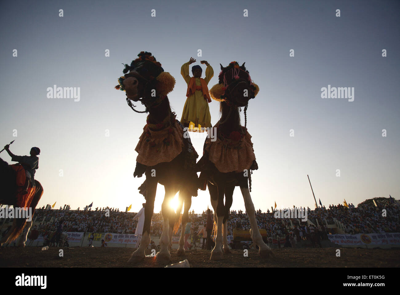 Sikh warriors horse hi-res stock photography and images - Alamy