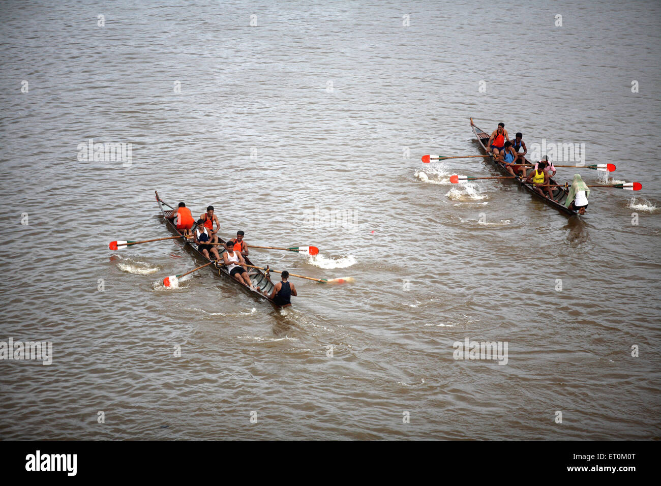 rowing sport racing boats, Sangli, Maharashtra, India Stock Photo - Alamy