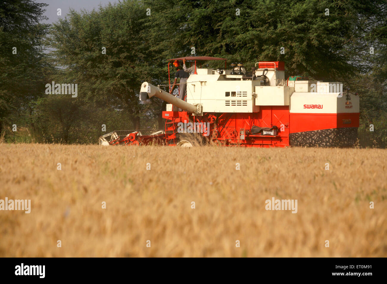 Combine harvester can be seen approaching fields for golden harvest of ...