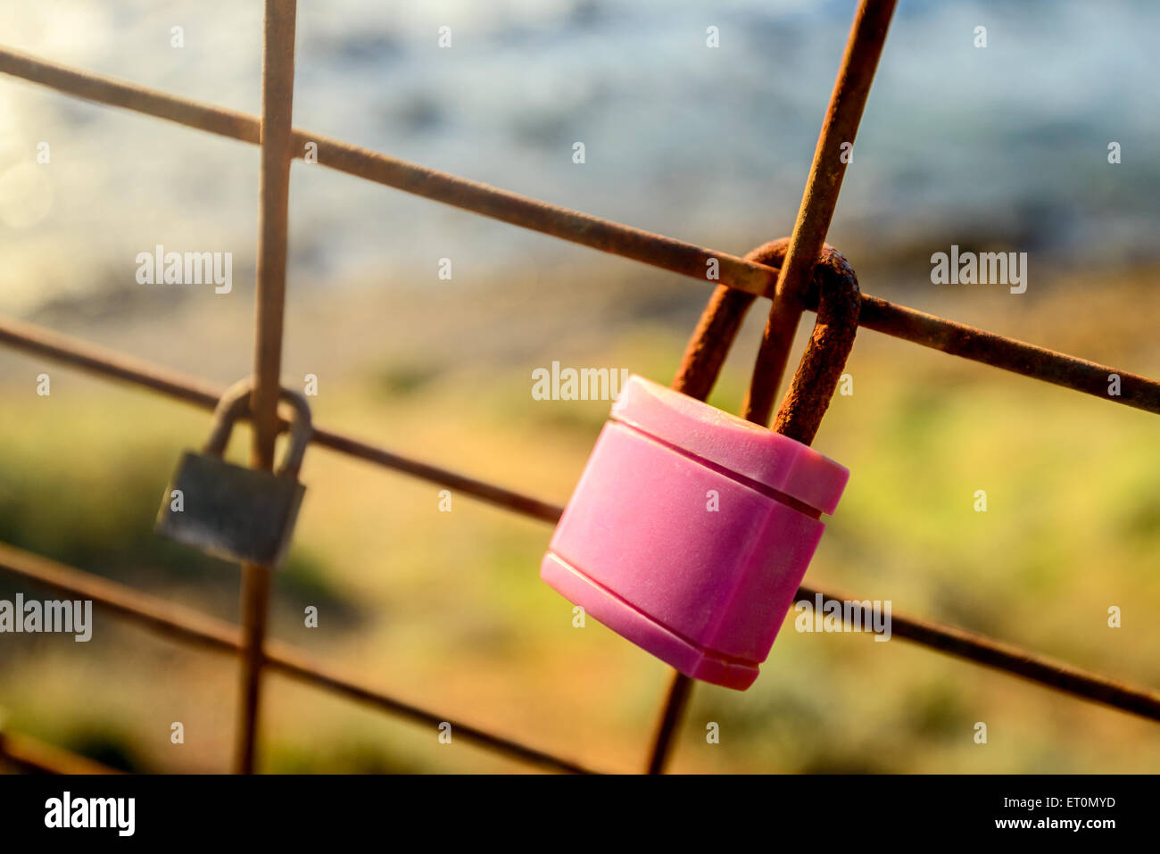 Rusty love locks hanging on the fence as a symbol of loyalty and ...
