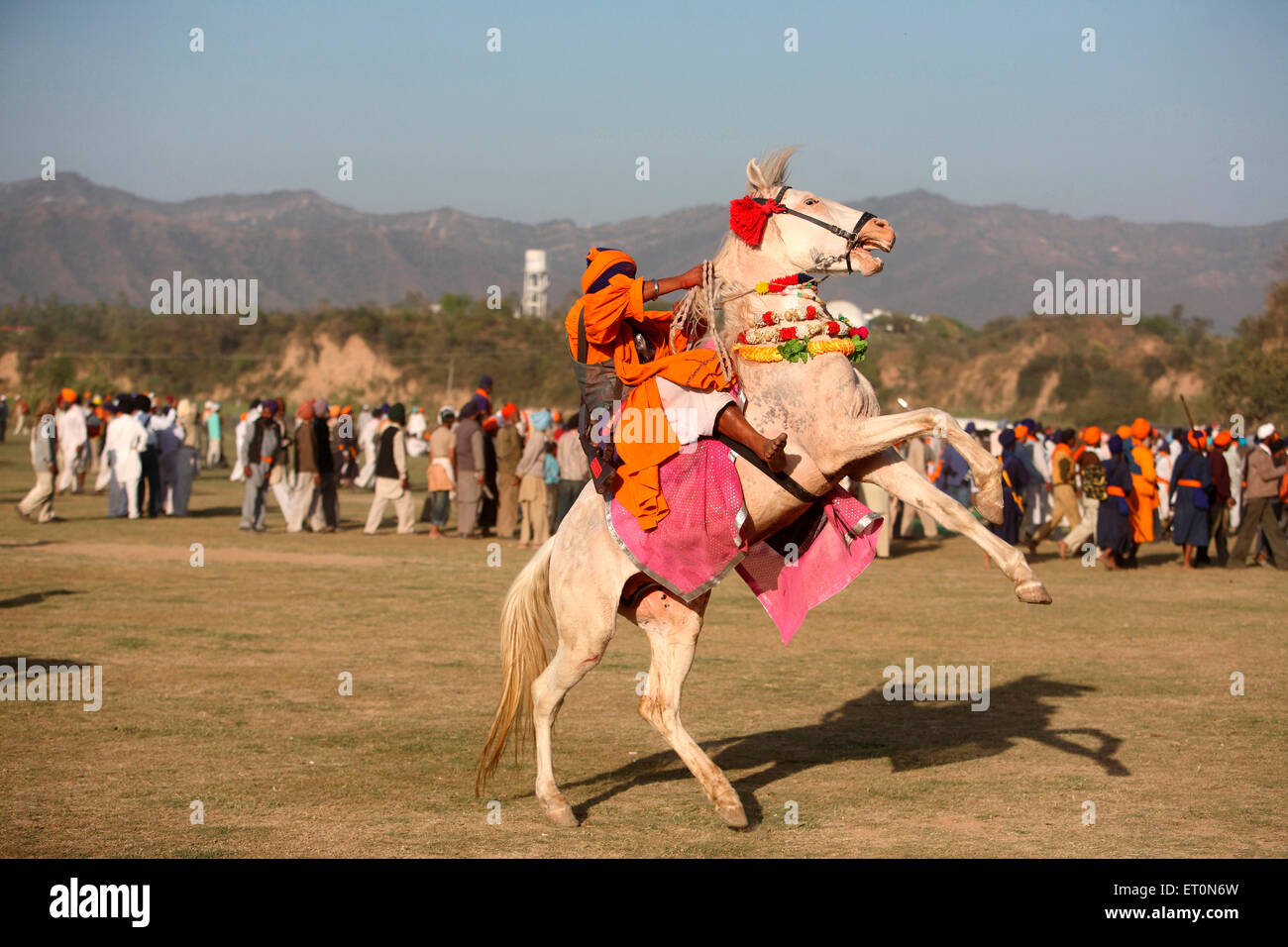 Nihang or Sikh warrior on horse during Hola Mohalla celebration at ...