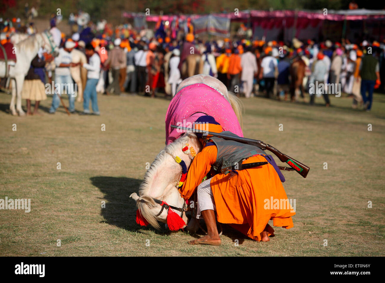 Nihang or Sikh warrior with rifle and horse during the Hola Mohalla ...