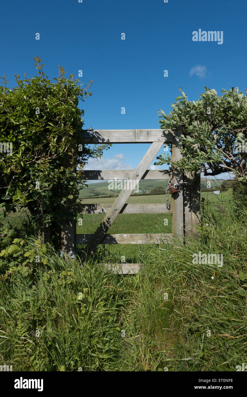 Locked gate to a field Stock Photo - Alamy